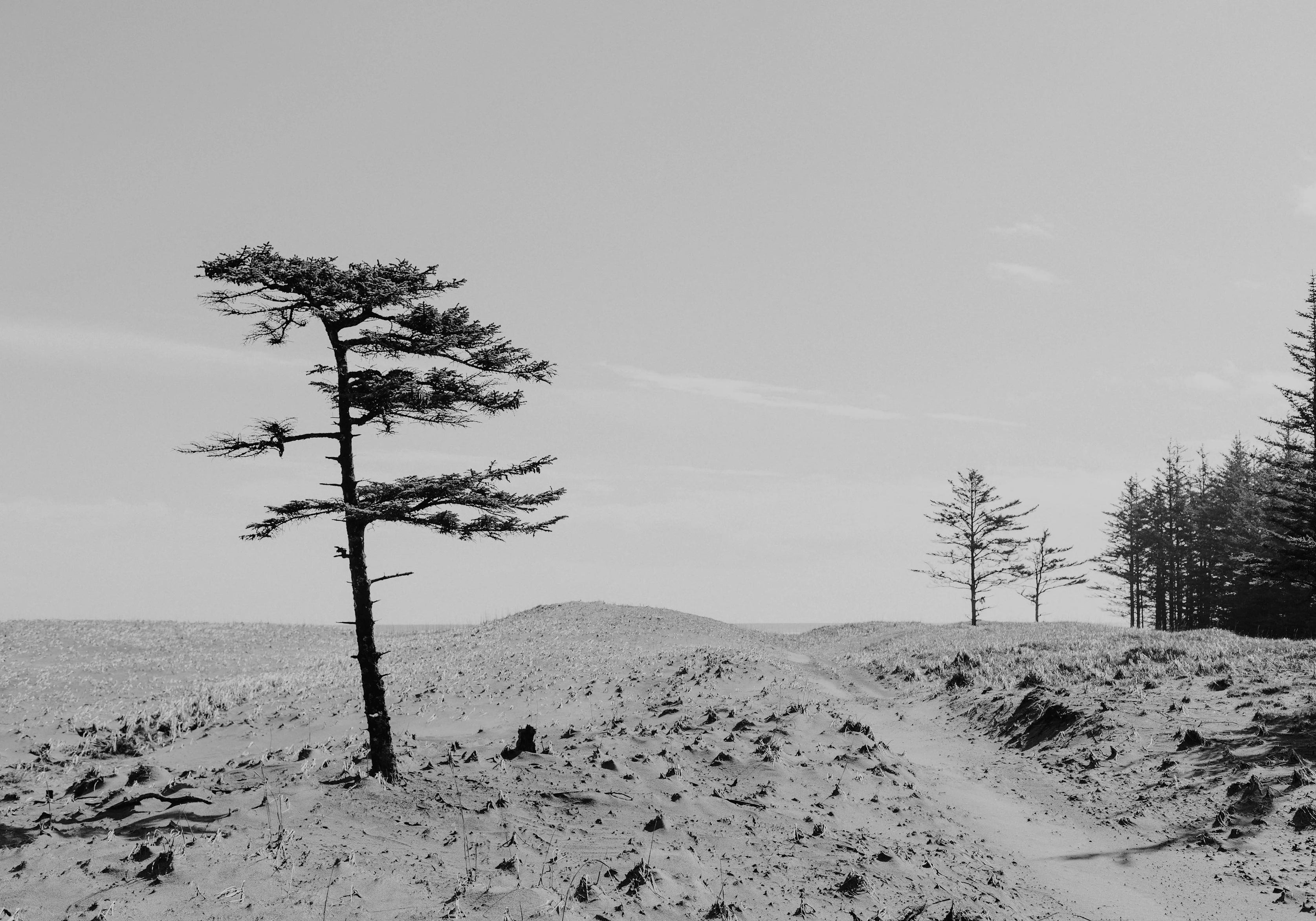 About Lisa – Lisa Fletcher Jewellery