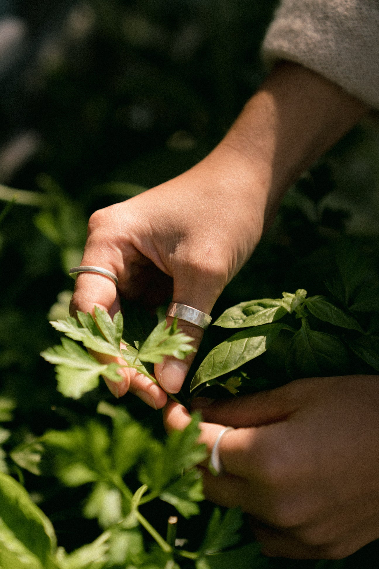 Lisa Fletcher Jewellery